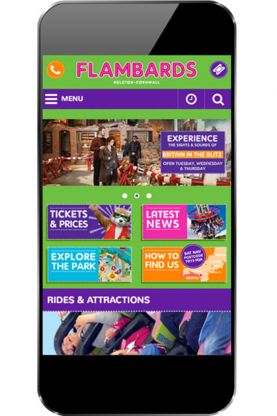 Flambards Case Study | Website Vision